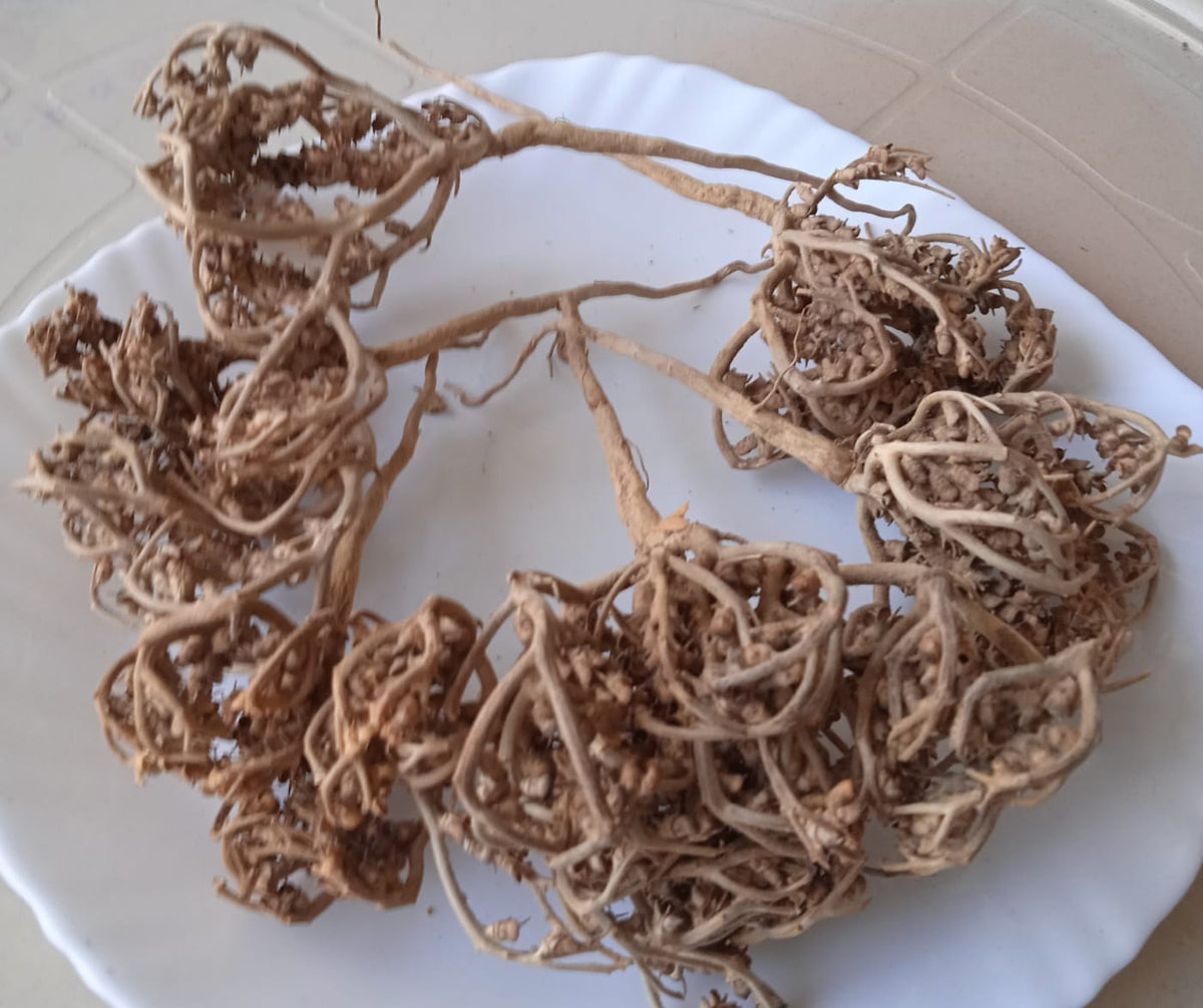 Maryam Booti from Madina Saudi Arabia – Dubuypk